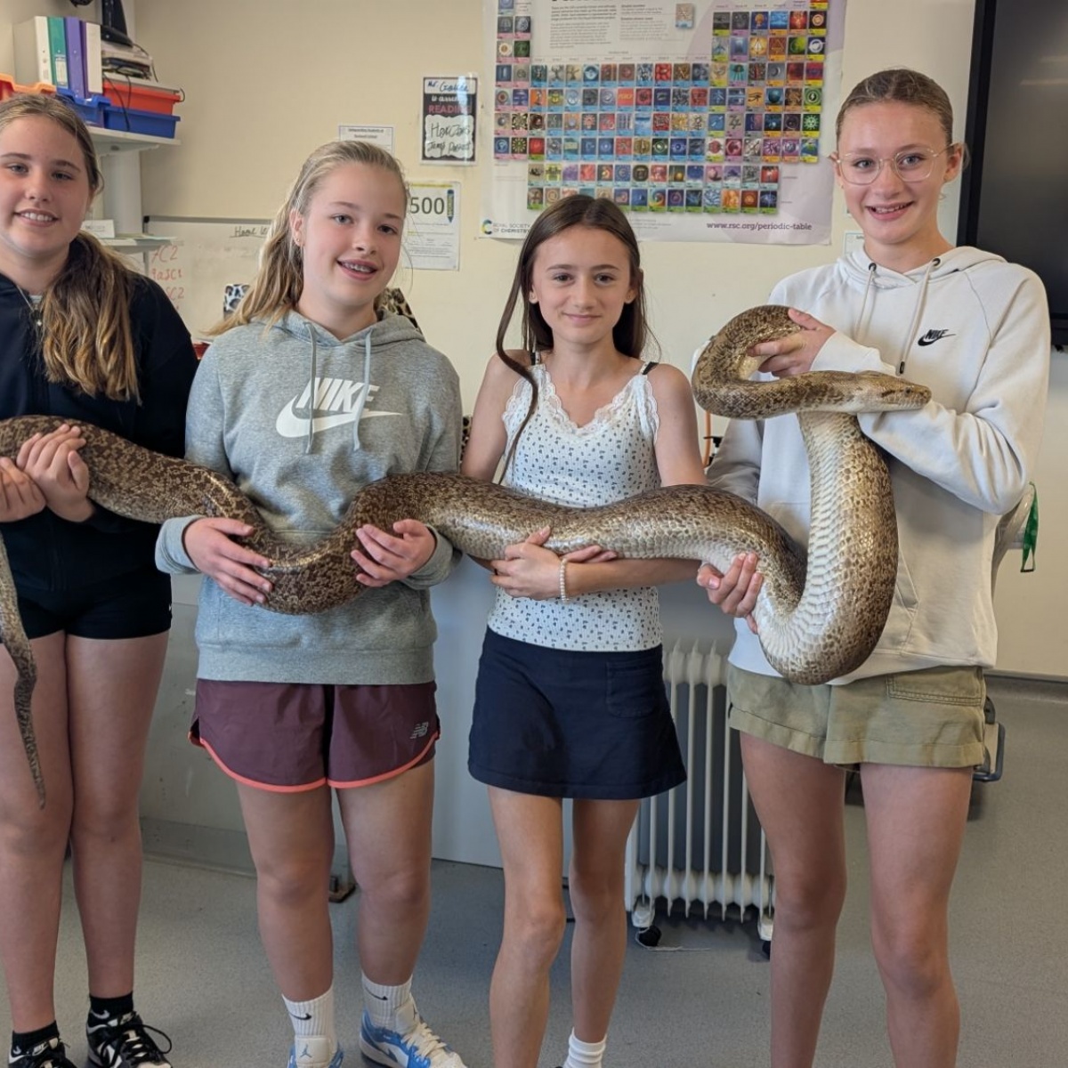 Backwell School - Enrichment Week 2025